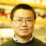 ACIN – American Conference on Inorganic Nanoscience