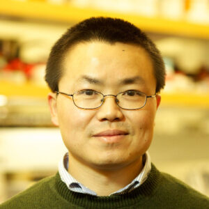 ACIN – American Conference on Inorganic Nanoscience